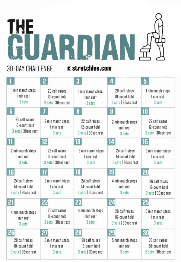 Guardian Challenge - stretchlee