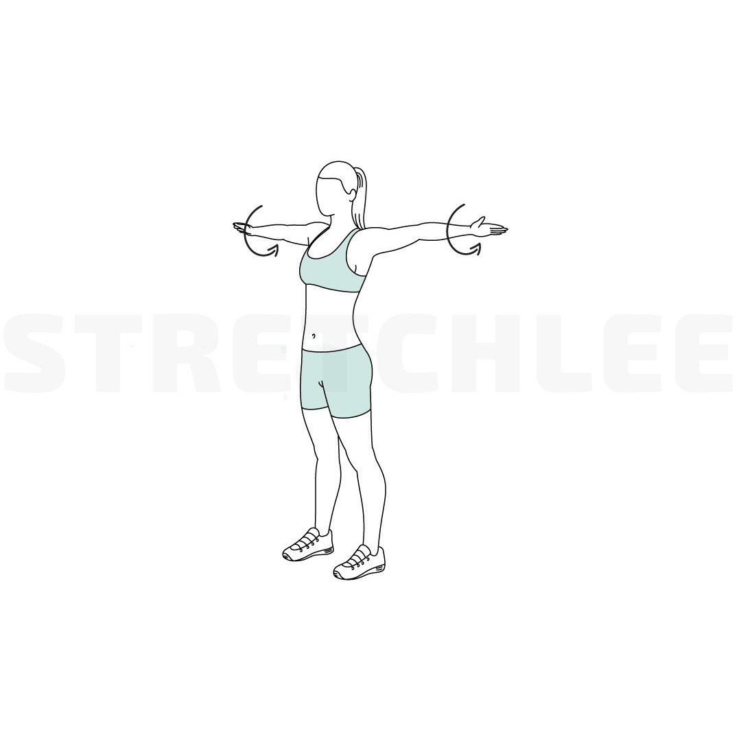 What are Dynamic stretches? Benefits, Examples and more
